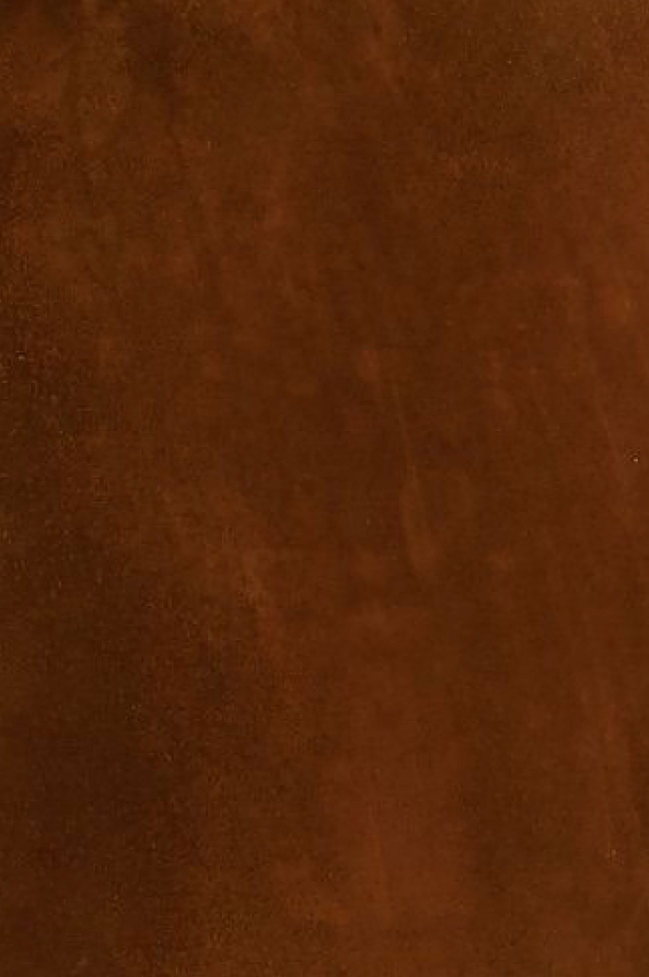 Dark Copper - Materials Assemble